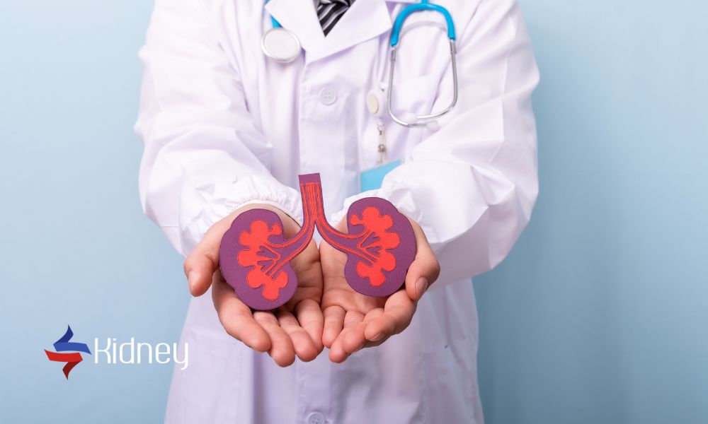 Trapianto di Rene: Una Guida Essenziale per i Pazienti